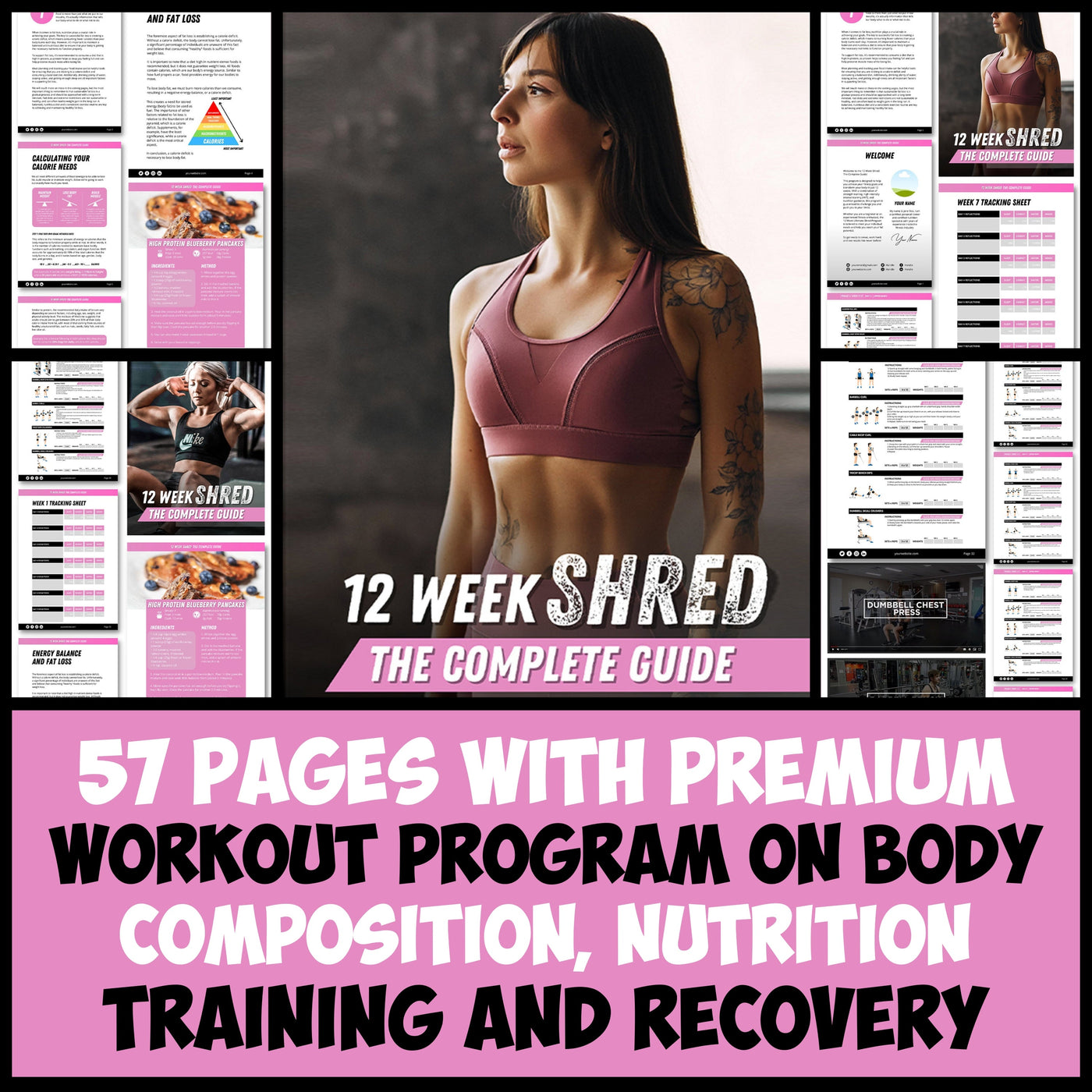 12 Week Shred Program - The Complete Guide – Digiluxxe